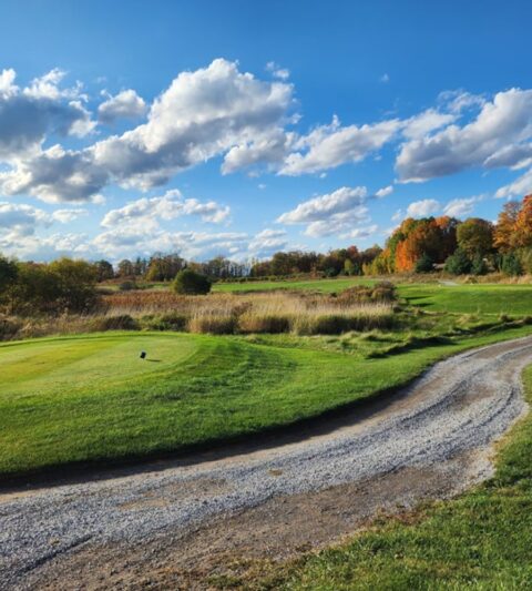 Tee It Forward - Dragonfly Golf Club