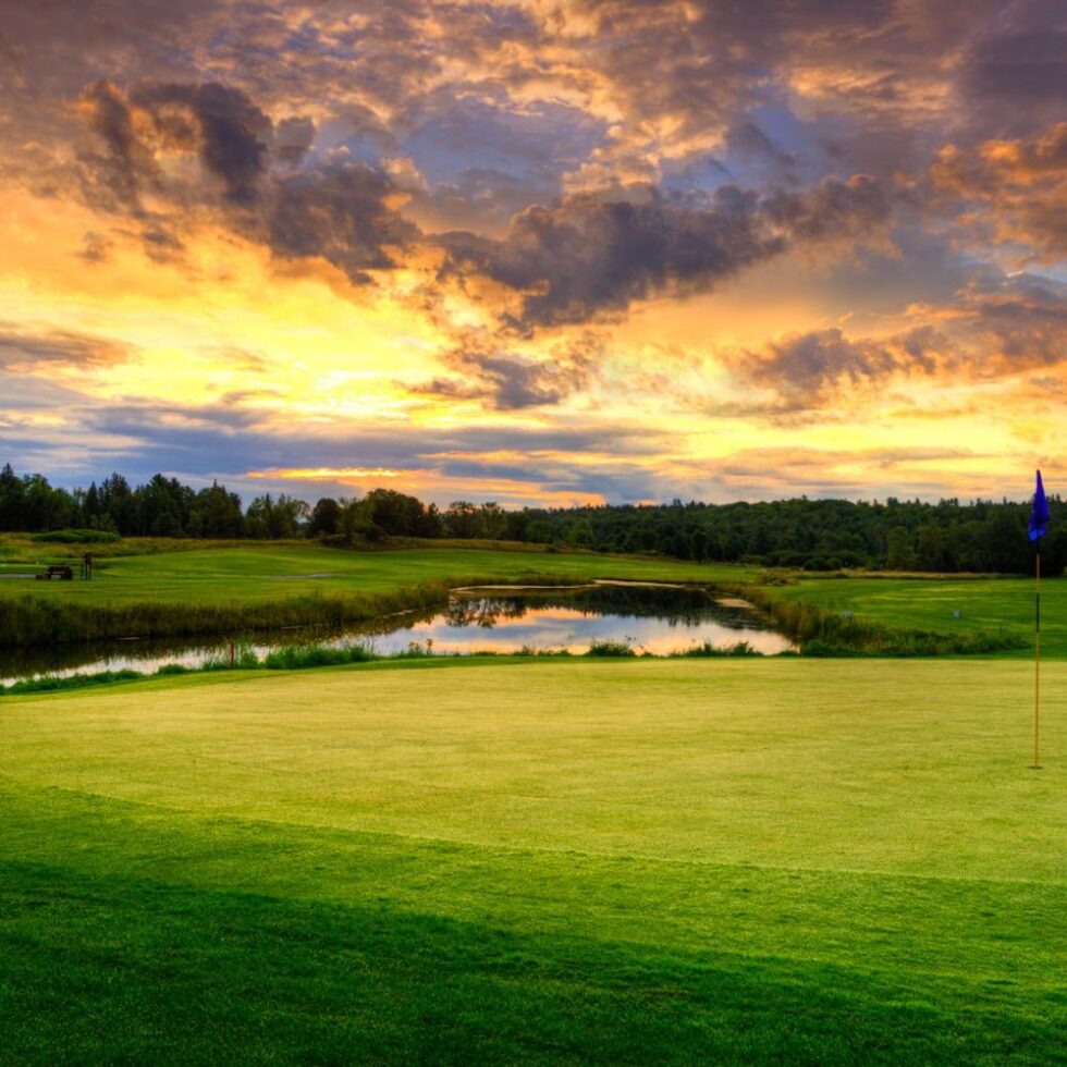 Leagues - Dragonfly Golf Club